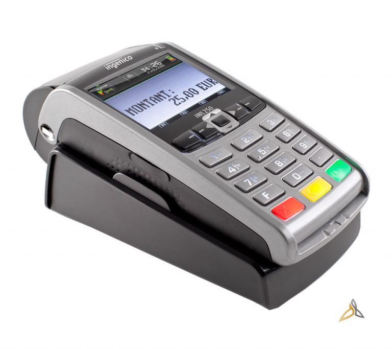Ingenico IWL250 Séries - Terminal de paiement - Synalcom